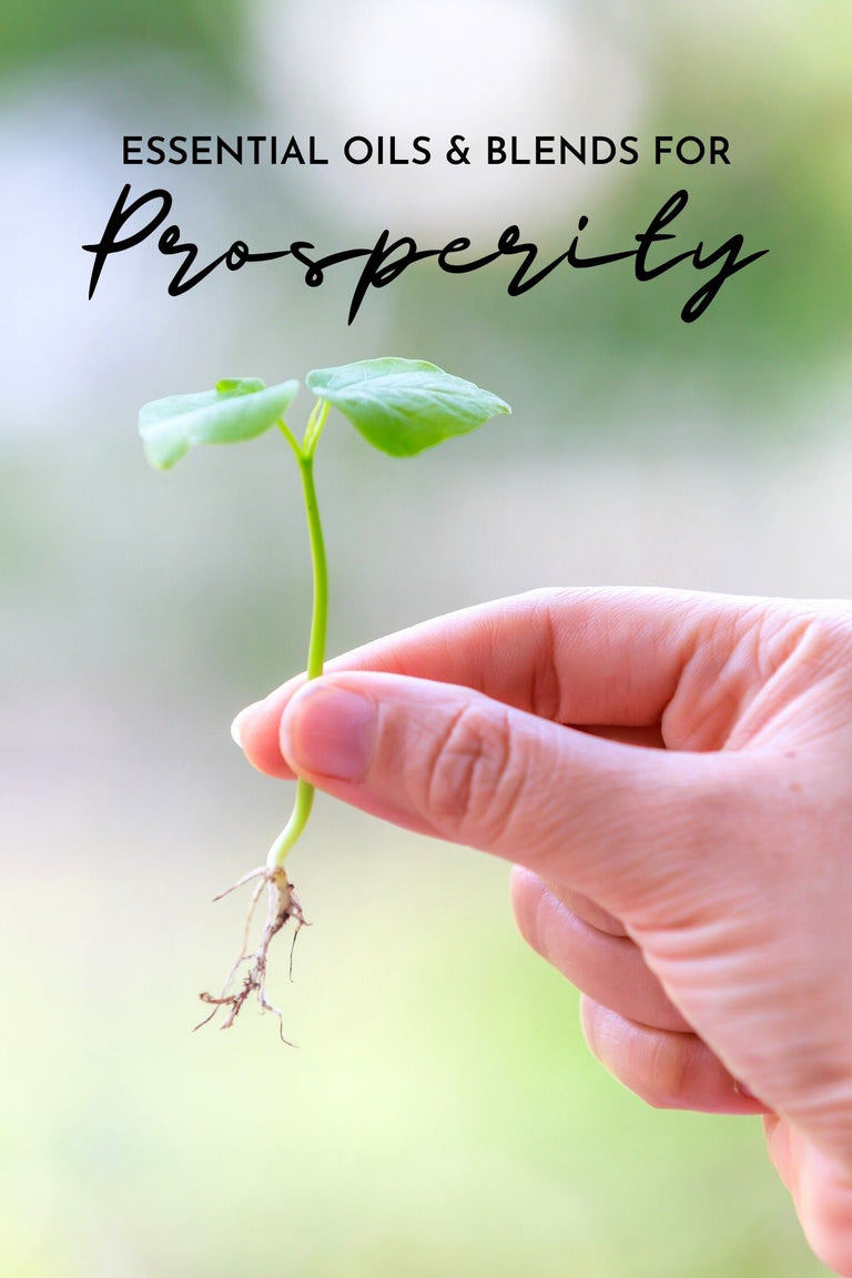 Essential Oil Blends for Prosperity – Cliara Essential Oils